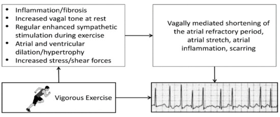Chronic Stress, Exercise and Cardiovascular Disease: Placing the ...