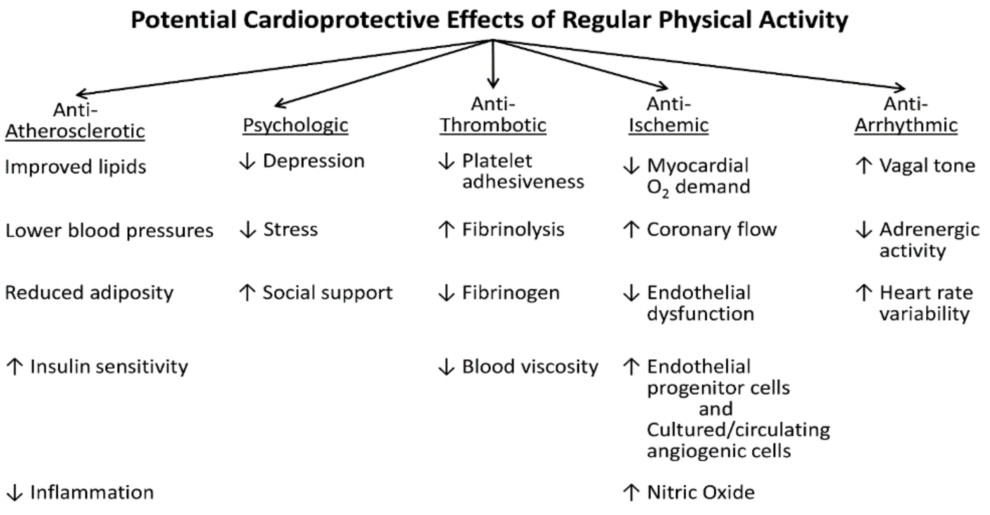 Chronic Stress, Exercise and Cardiovascular Disease: Placing the ...