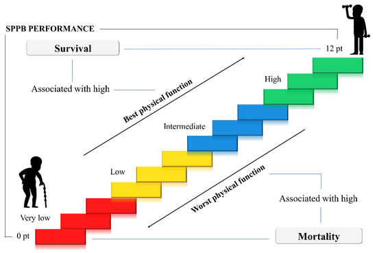 Short Physical Performance Battery as a Measure of Physical Performance ...