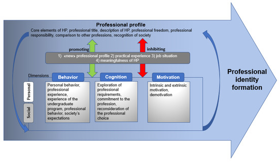 IJERPH | Free Full-Text | Professional Identity Formation in Health ...