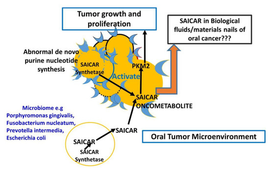 IJERPH | Free Full-Text | Detection of Nail Oncometabolite SAICAR in ...