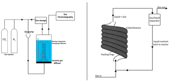 Reactor Designs and Configurations for Biological and ...