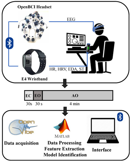 IJERPH | Free Full-Text | Evaluation of a Fast Test Based on Biometric ...