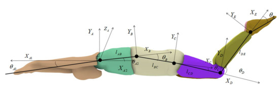 Hydrodynamic Characteristics of Different Undulatory Underwater ...
