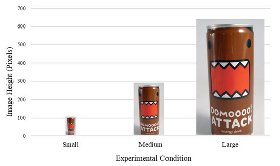 Visual Size Matters: The Effect of Product Depiction Size on Calorie ...