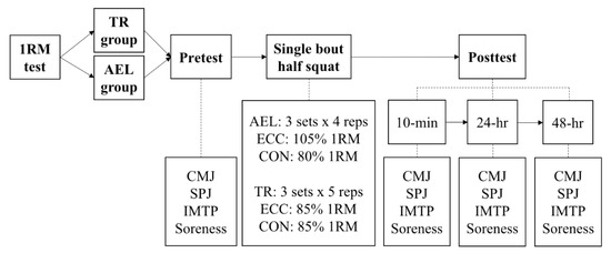 Post-activation Performance Enhancement after a Bout of Accentuated ...