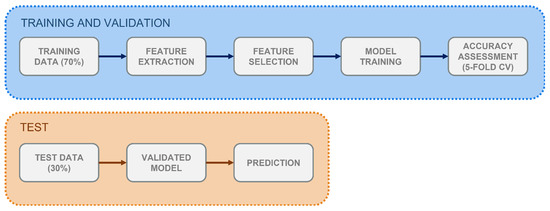 IJERPH | Free Full-Text | Assessing REM Sleep Behaviour Disorder: From ...