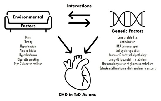 IJERPH | Free Full-Text | Coronary Heart Disease in Type 2 Diabetes ...