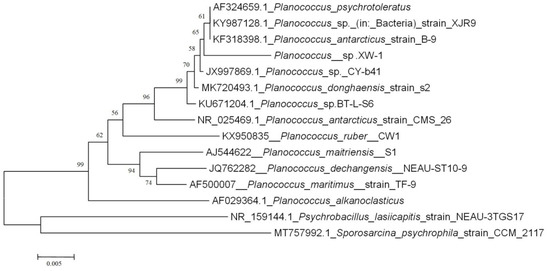 Isolation and Characterization of a Biosurfactant Producing Strain ...