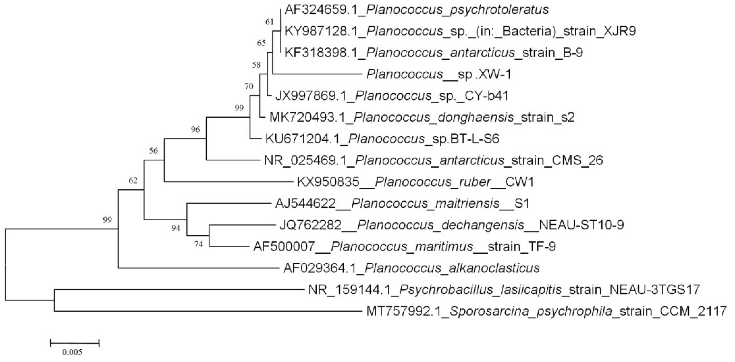 Isolation and Characterization of a Biosurfactant Producing Strain ...