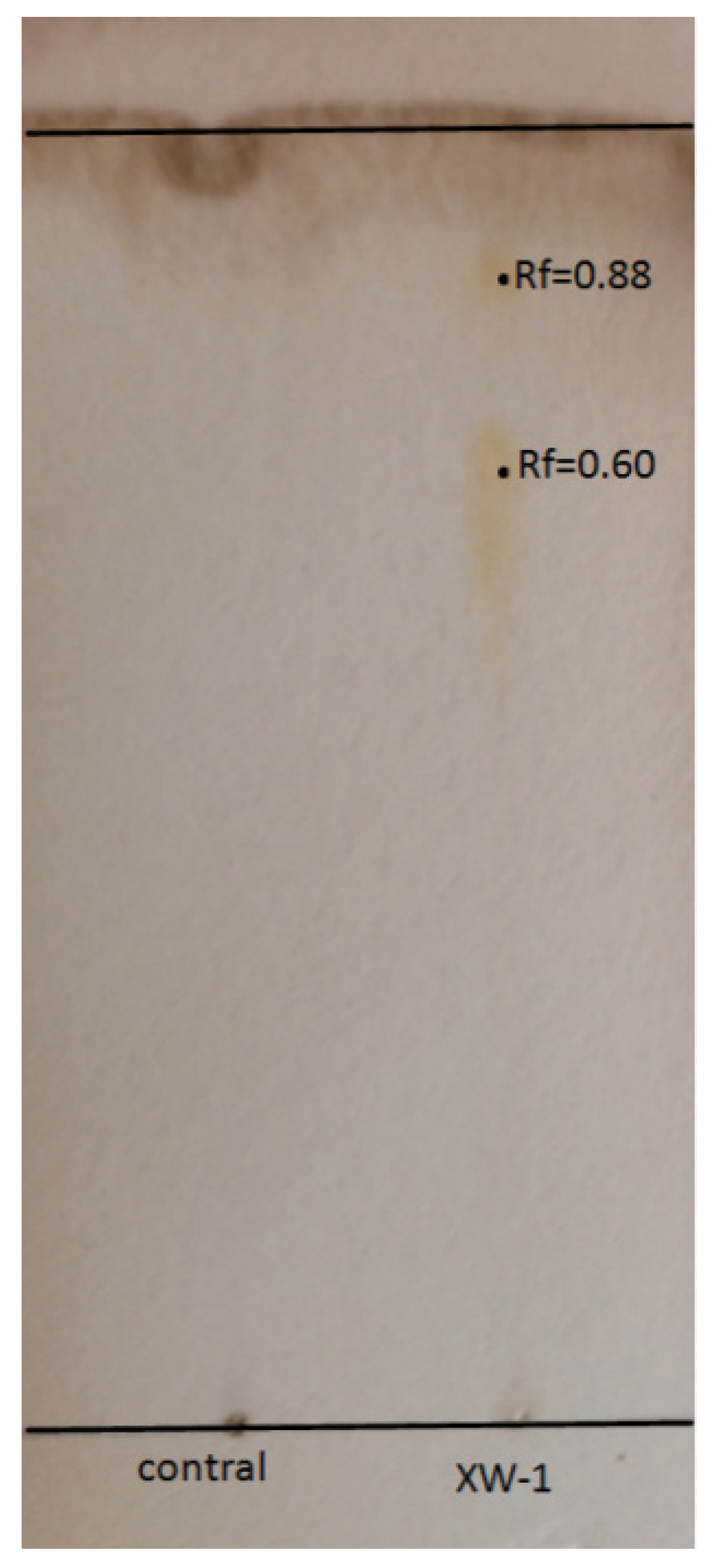 Isolation and Characterization of a Biosurfactant Producing Strain ...