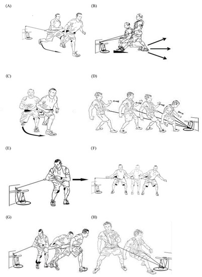 IJERPH | Free Full-Text | Effects of Direction-Specific Training ...