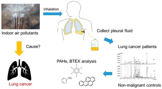 Indoor Air Pollution Increases the Risk of Lung Cancer