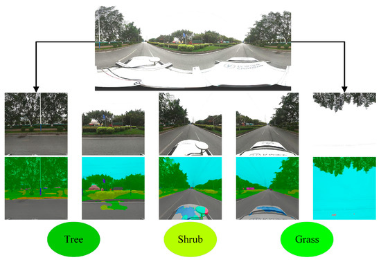 Exploring the Effects of Roadside Vegetation on the Urban Thermal ...