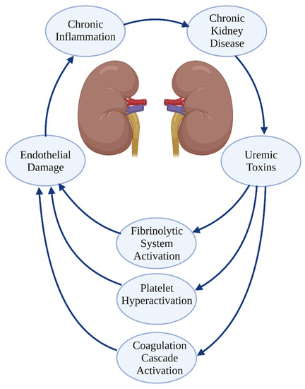 Safety and Efficacy of DOACs in Patients with Advanced and End-Stage ...