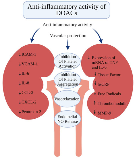 IJERPH | Free Full-Text | Safety and Efficacy of DOACs in Patients with ...