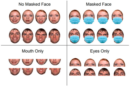 IJERPH | Free Full-Text | The Effect of Surgical Masks on the Featural ...