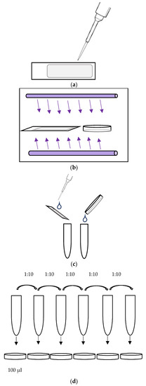 UV-C Light-Based Surface Disinfection: Analysis of Its Virucidal ...