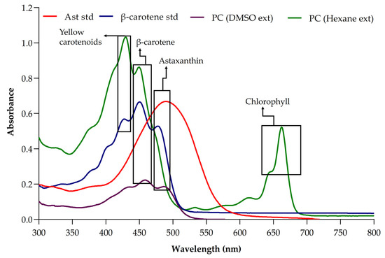 Influence of Carbon Sources on Biomass and Biomolecule Accumulation in Picochlorum sp. Cultured ...