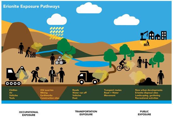 Asbestos and Other Hazardous Fibrous Minerals: Potential Exposure ...