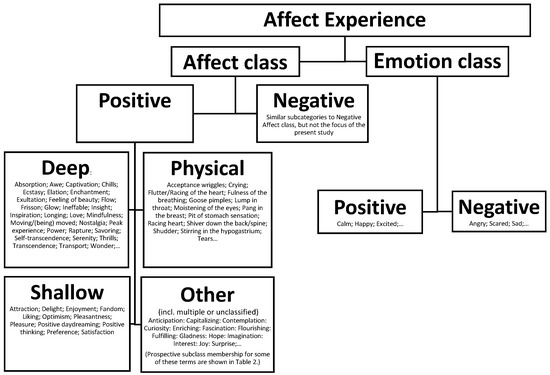 IJERPH | Free Full-Text | A Special Class of Experience: Positive ...