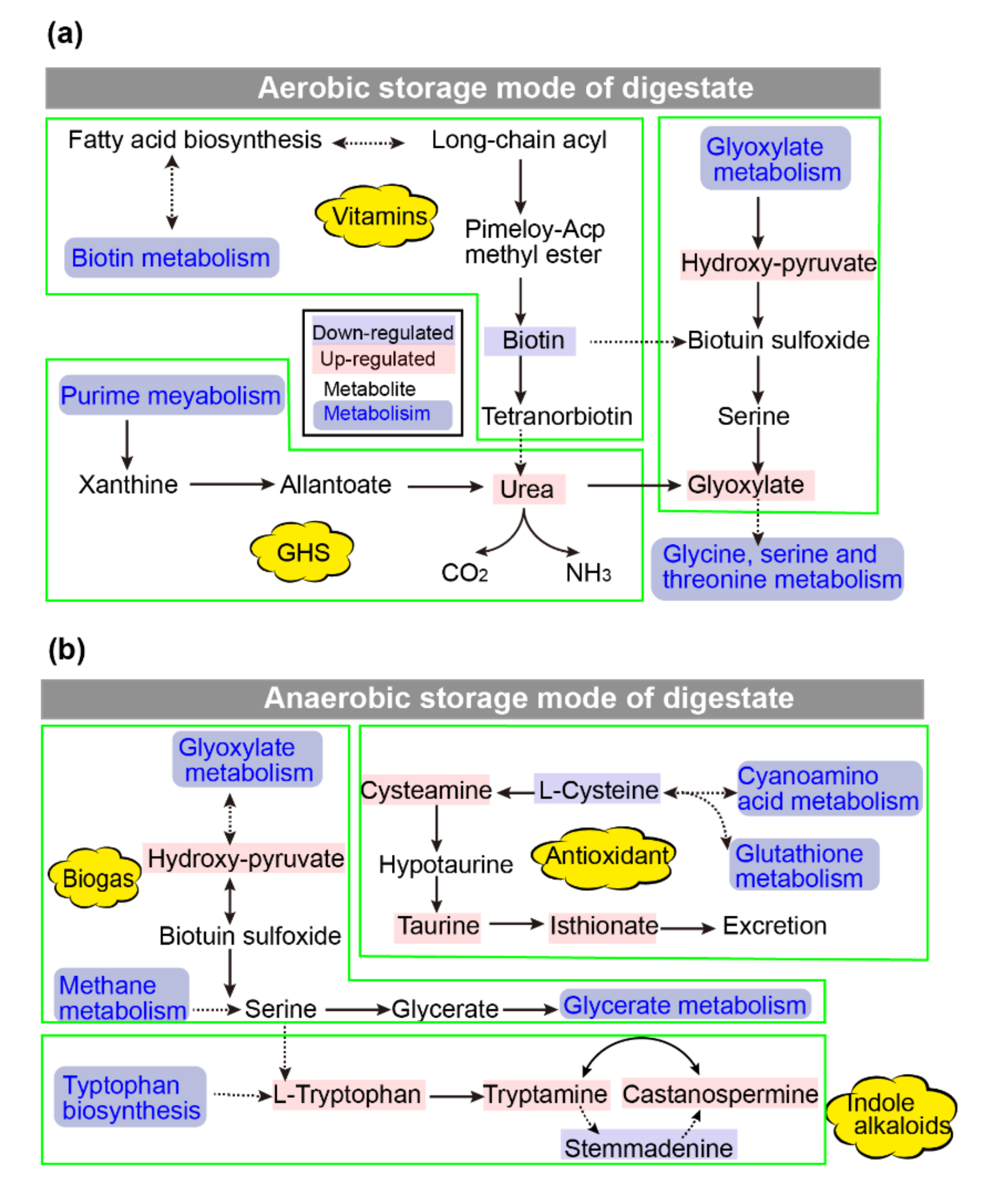 Untargeted Metabolomics Profiling of Bioactive Compounds under Varying ...