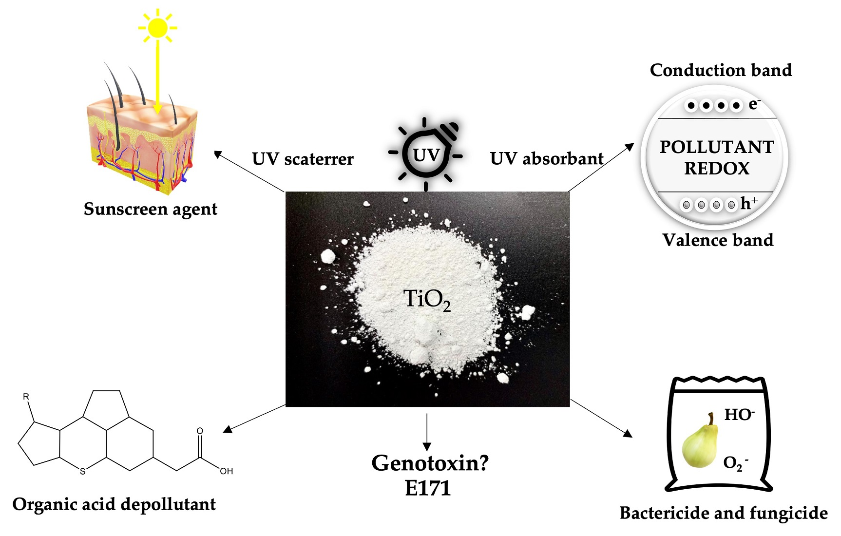 IJERPH | Free Full-Text | Titanium Dioxide: Structure, Impact, and Toxicity