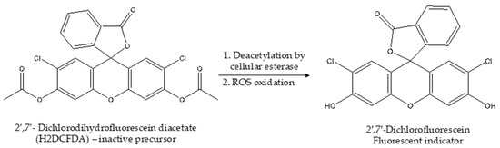 Titanium Dioxide: Structure, Impact, and Toxicity