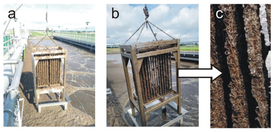 Application of Integrated Fixed-Film Activated Sludge in a Conventional ...