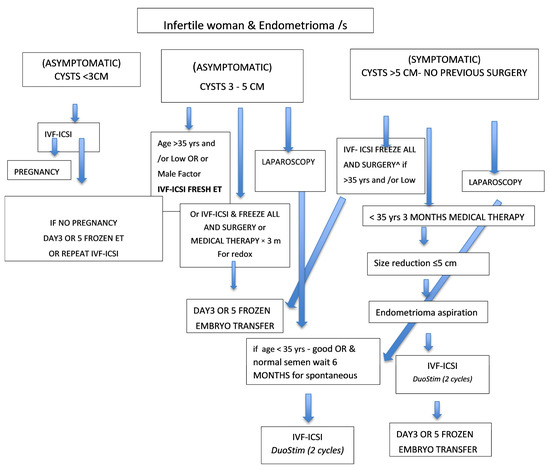 Endometriosis and Infertility: A Long-Life Approach to Preserve ...