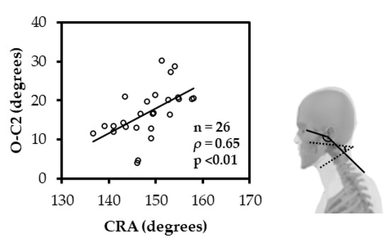 Correlation between the Photographic Cranial Angles and Radiographic ...