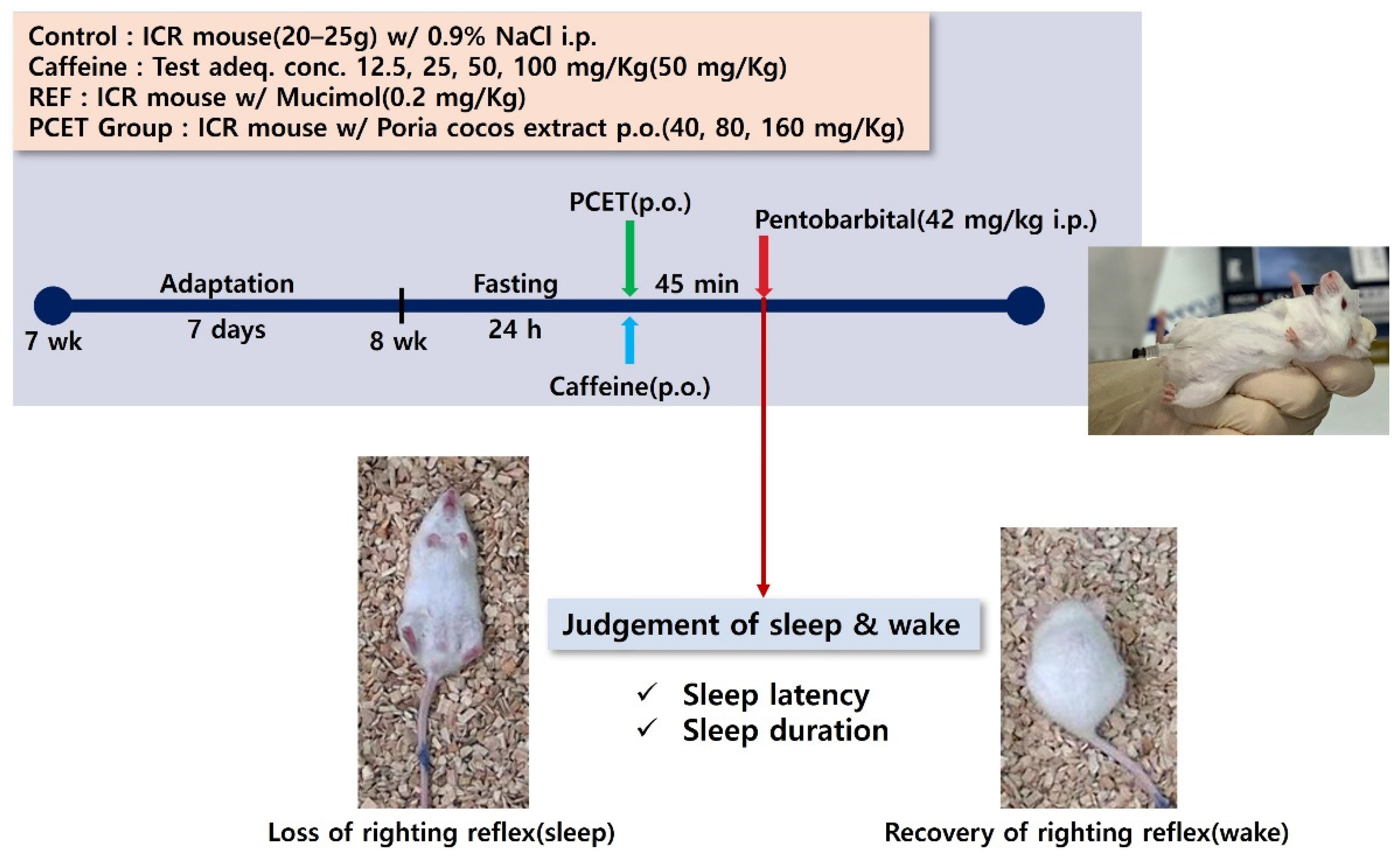 Ijerph Free Full Text The Positive Effects Of Poria Cocos Extract