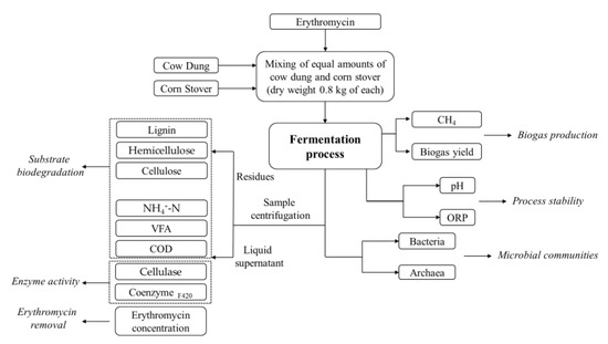 The Removal of Erythromycin and Its Effects on Anaerobic Fermentation