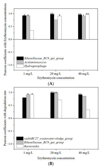 The Removal of Erythromycin and Its Effects on Anaerobic Fermentation