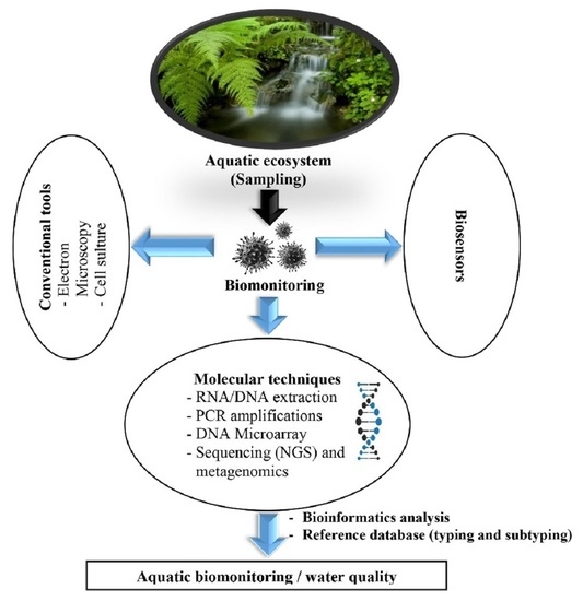 IJERPH | Free Full-Text | Viral Eco-Genomic Tools: Development and ...