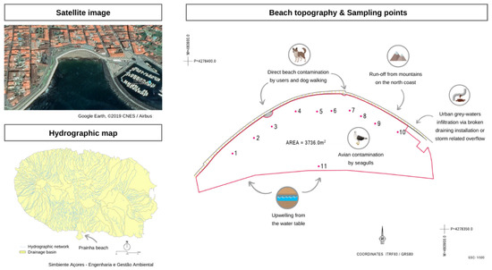 Microbial Source Tracking as a Method of Determination of Beach Sand ...