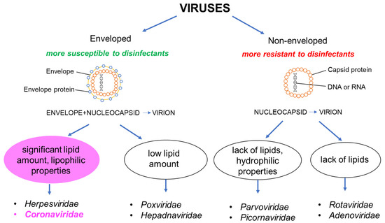 Inanimate Surfaces as a Source of Hospital Infections Caused by Fungi ...