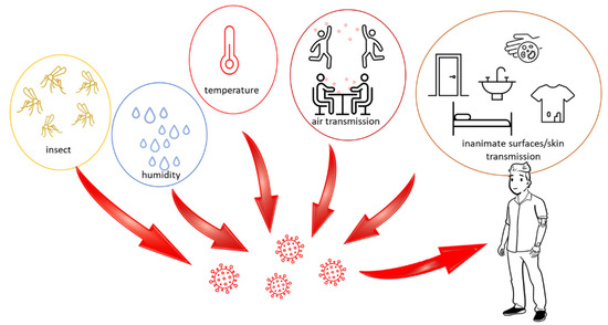 Inanimate Surfaces as a Source of Hospital Infections Caused by Fungi ...