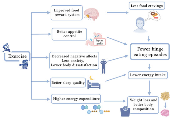 Benefits of Exercise in Multidisciplinary Treatment of Binge Eating ...