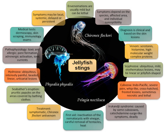 Raising Awareness on the Clinical and Forensic Aspects of Jellyfish ...