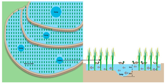 Valuation of Ecosystem Services for the Sustainable Development of Hani ...