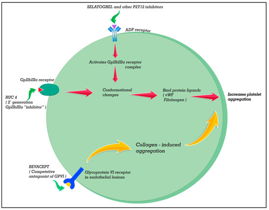 Ideal P2Y12 Inhibitor in Acute Coronary Syndrome: A Review and Current ...