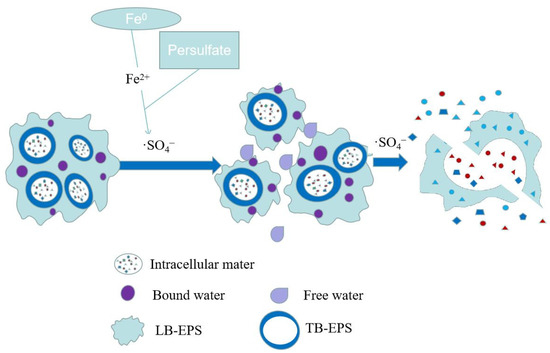 Application of Advanced Oxidation Technology in Sludge Conditioning and ...