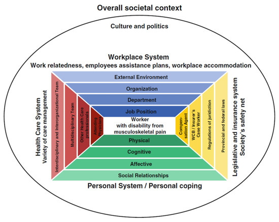 IJERPH | Free Full-Text | Management of Chronic Musculoskeletal ...