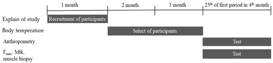 Impact of Body Mass Index on Muscle Strength, Thicknesses, and Fiber ...
