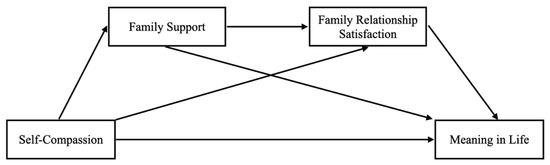 The Double Mediating Effect of Family Support and Family Relationship ...