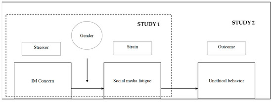 Impression Management on Instagram and Unethical Behavior: The Role of ...