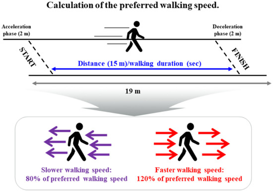 Association of Muscle Mass, Muscle Strength, and Muscle Function with ...