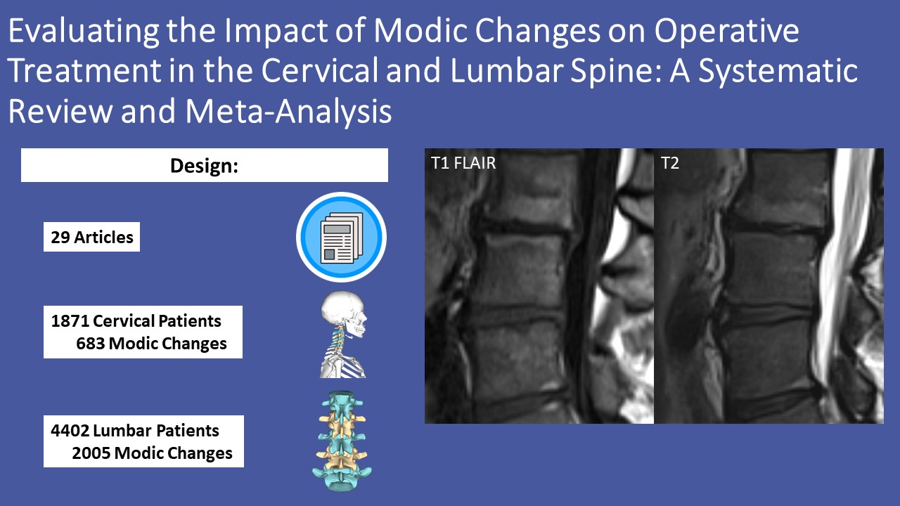 IJERPH | Free Full-Text | Evaluating the Impact of Modic Changes on ...