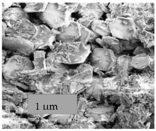 IJERPH | Free Full-Text | Isolation and Optimisation of Culture ...